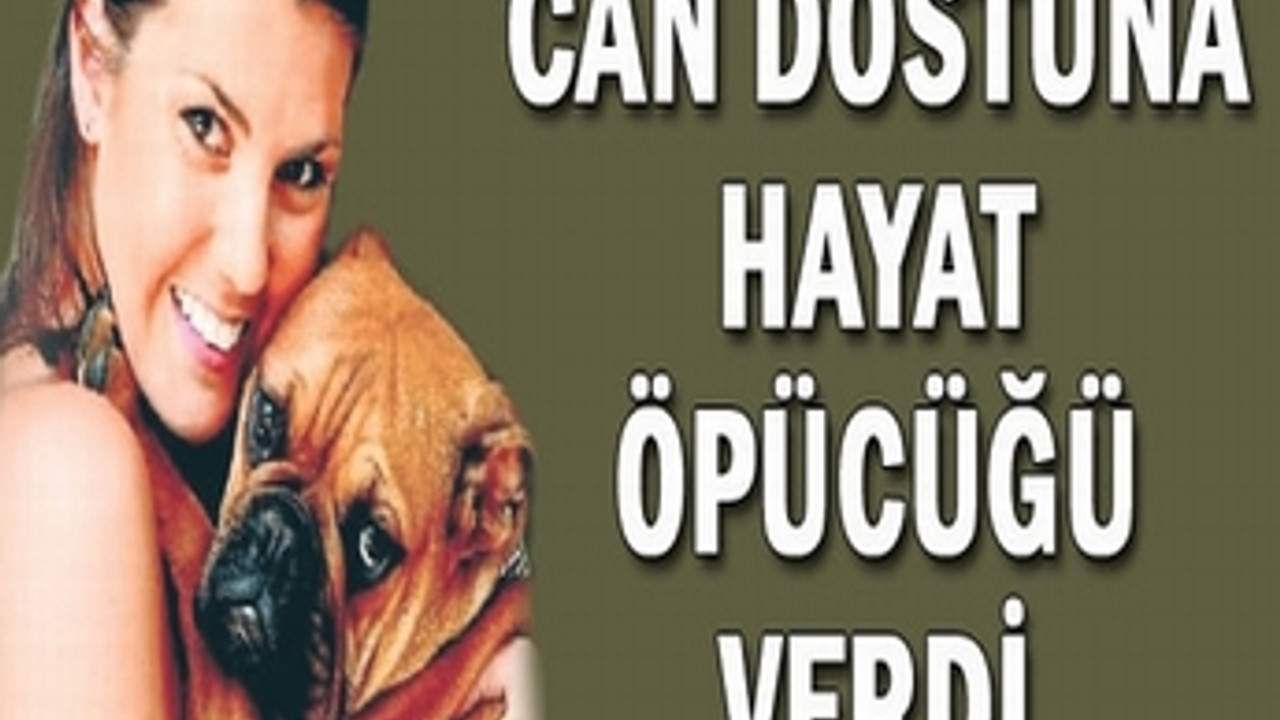 Jessica Yeo can dostunu böyle kurtardı! - SacitAslan.com