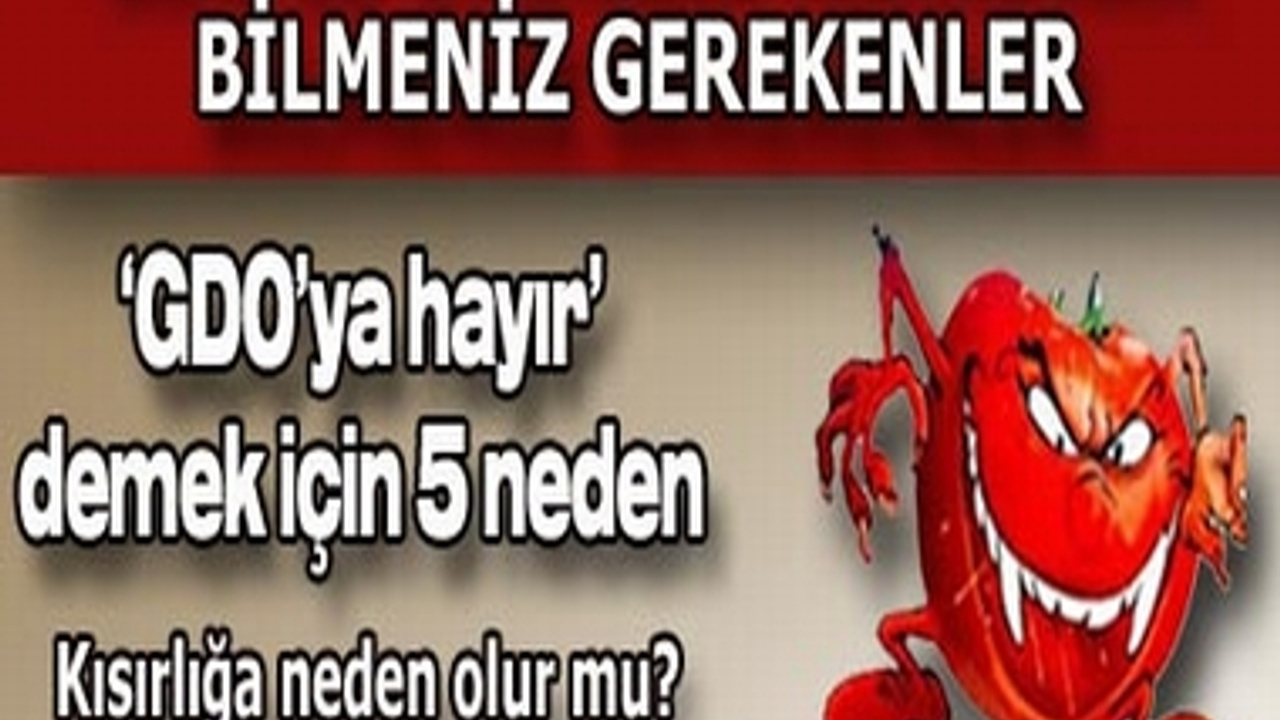 GDO NEDİR, NE KADAR ZARARLIDIR? - SacitAslan.com