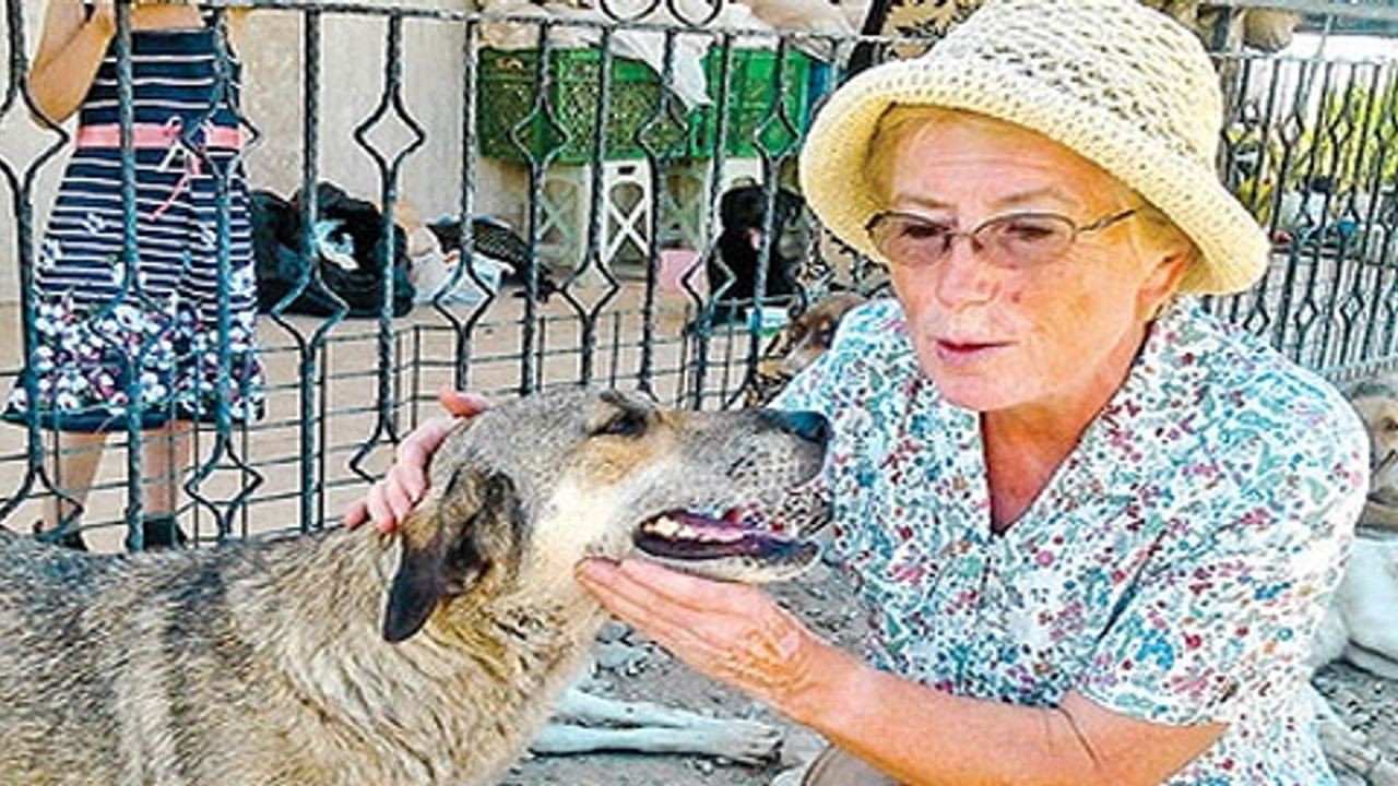 Çomar Paris yolcusu!.. - SacitAslan.com